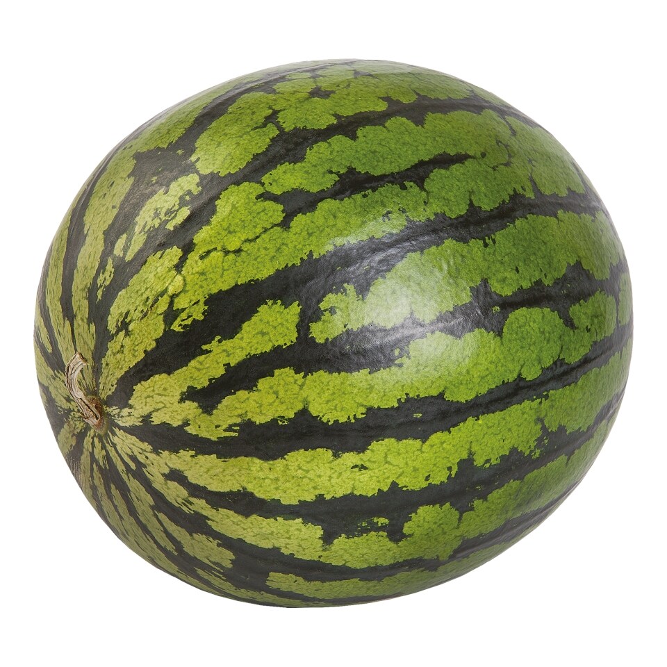 Meloun vodní mini | 1,7 kg | Albert