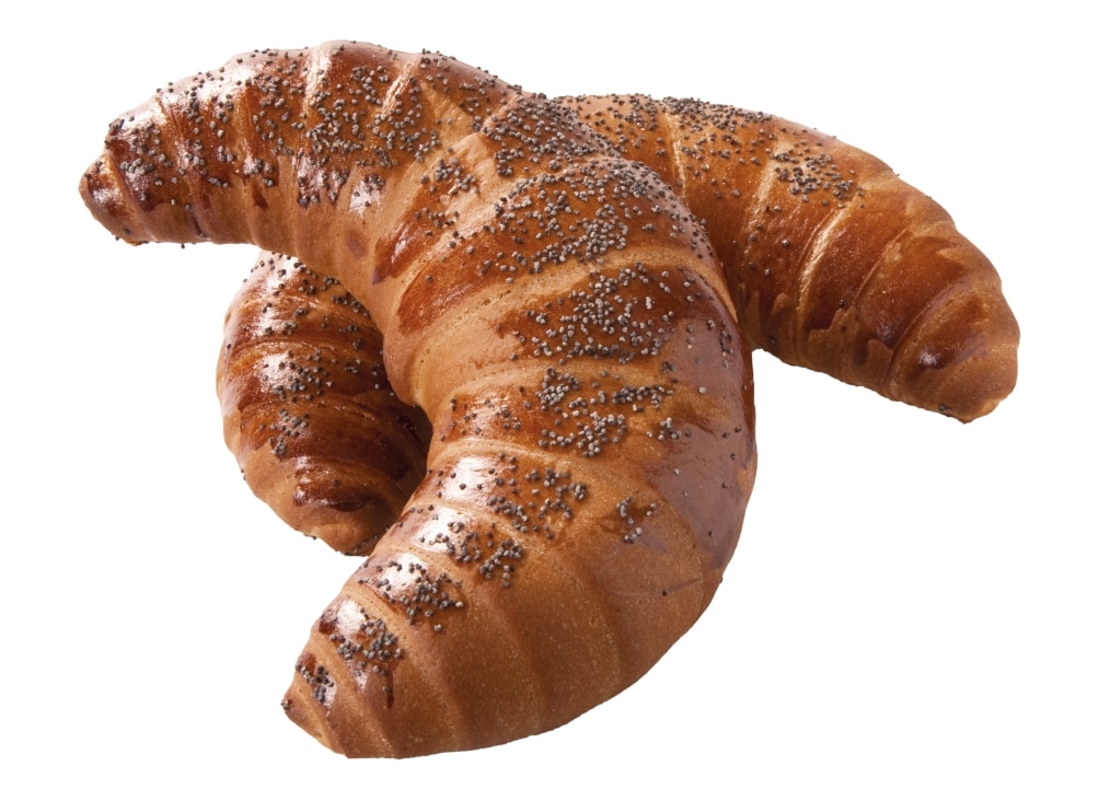 Loupák vinutý | 60 g | Albert