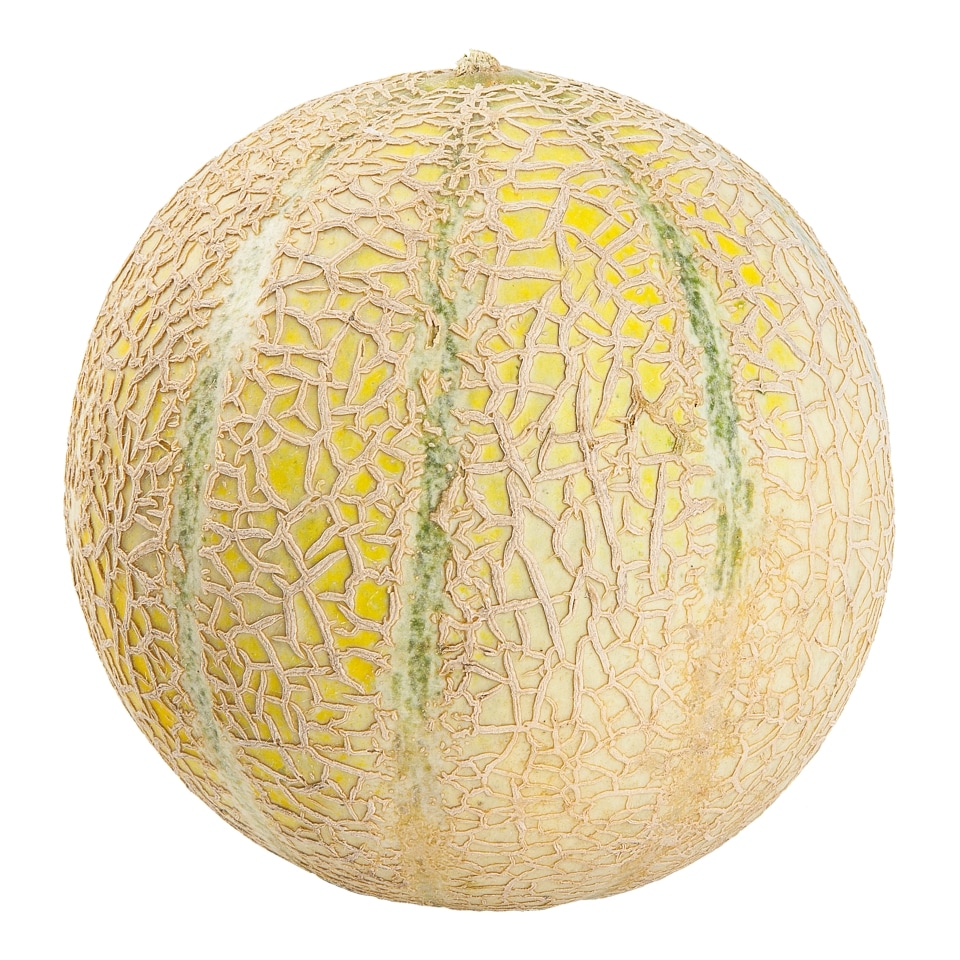 Meloun cukrový Cantaloupe | 1,3 kg | Albert